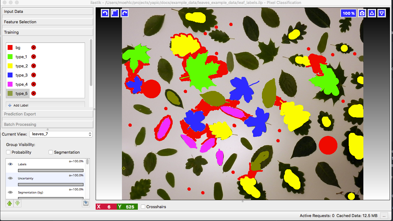 Tutorial Part I: Train Your First Model with YAPiC | YAPiC